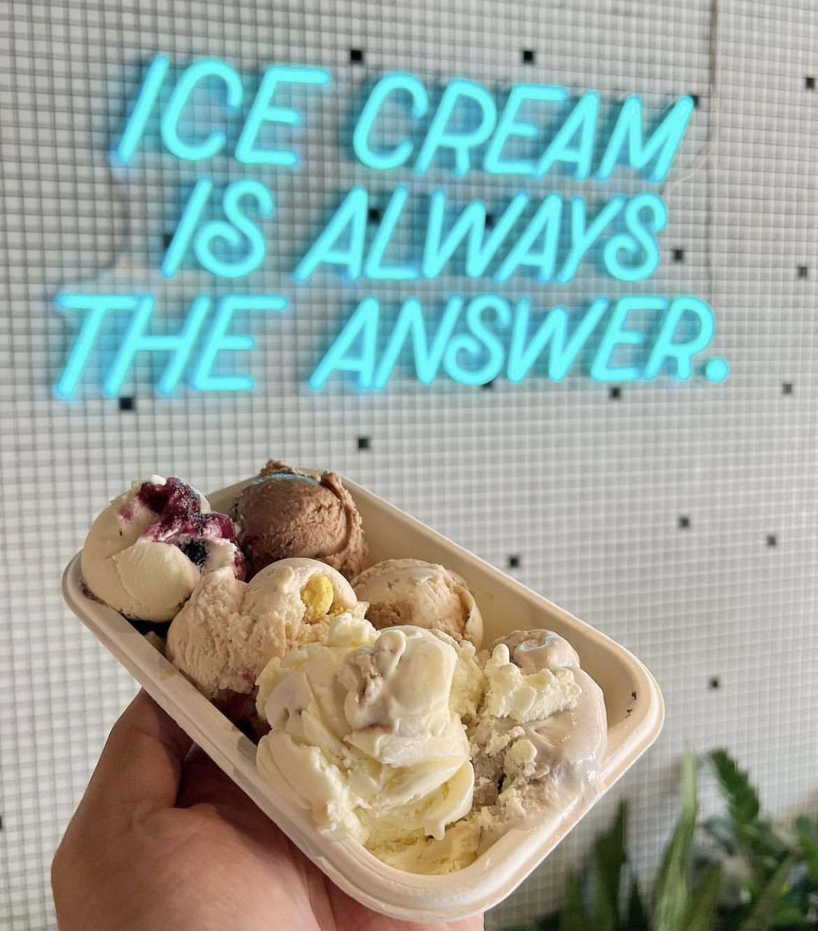 - BOOM TOWN CREAMERY